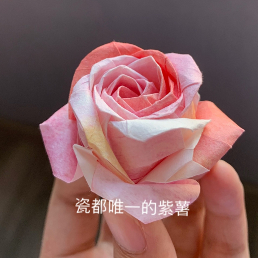 瓷都唯一的紫薯 