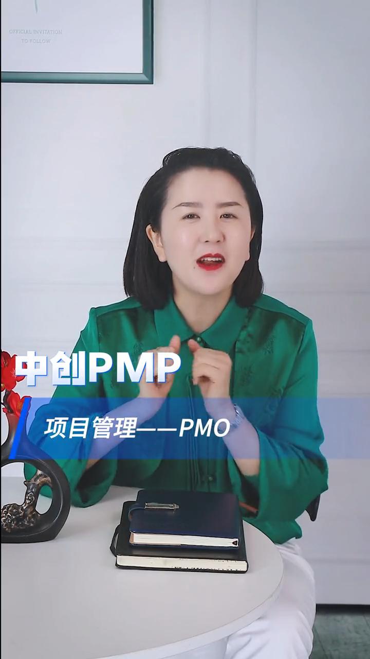 12)PMP知识讲解--PMO #项目管理pmp #职场 #提升自我