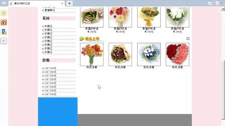 网页设计T11_08满屋花中新品上市栏目设计