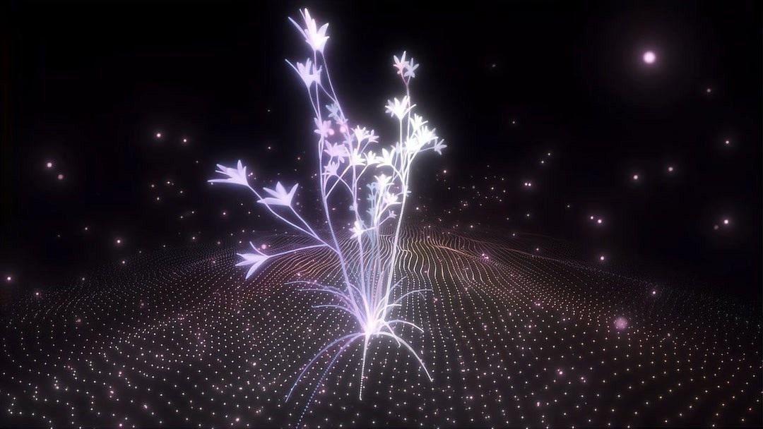 唯美星辰粒子—模拟植物生长