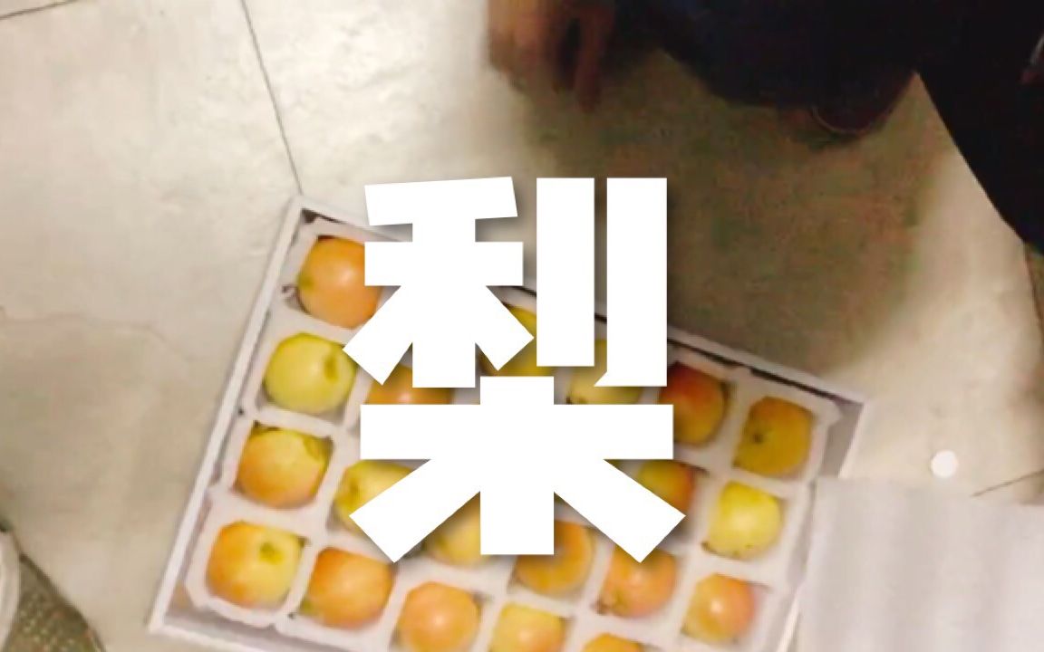 咦!小梨 「nico」携梨回归