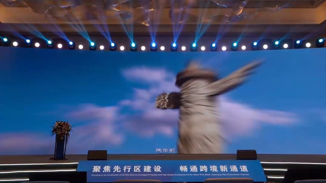 跨境电商创新发展高峰论坛2