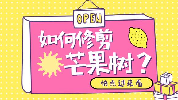 加纳农业部门推荐,这几步你做到了吗?修剪芒果树又有何不同?