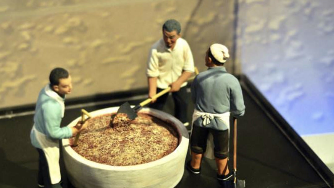 去现代酒厂,体验酿酒的神奇过程