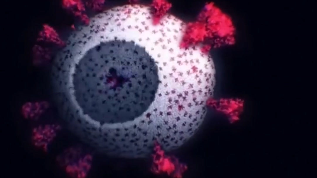 新冠病毒“真面目”!奥地利实验室制作3D动画展现了出来