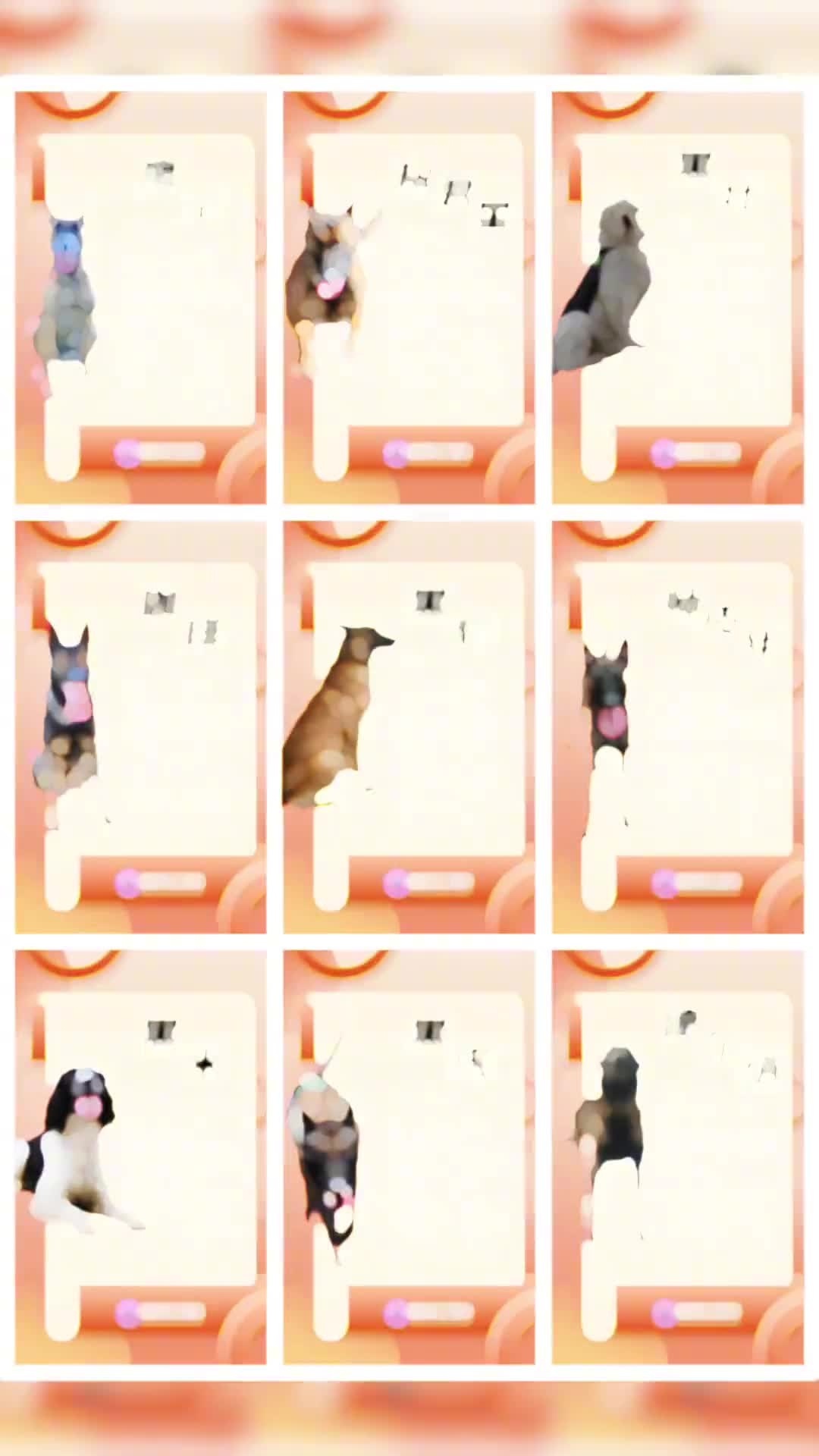 ...警犬为首批"功勋犬",并给带犬移民管理警察记个人三等功。(新警事儿)