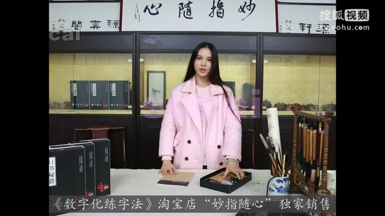 张神农数字化练字法成人行书