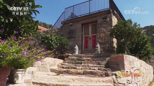 [乡村振兴资讯]山东崂山:改造老屋建造民宿 好山好水吸引游客
