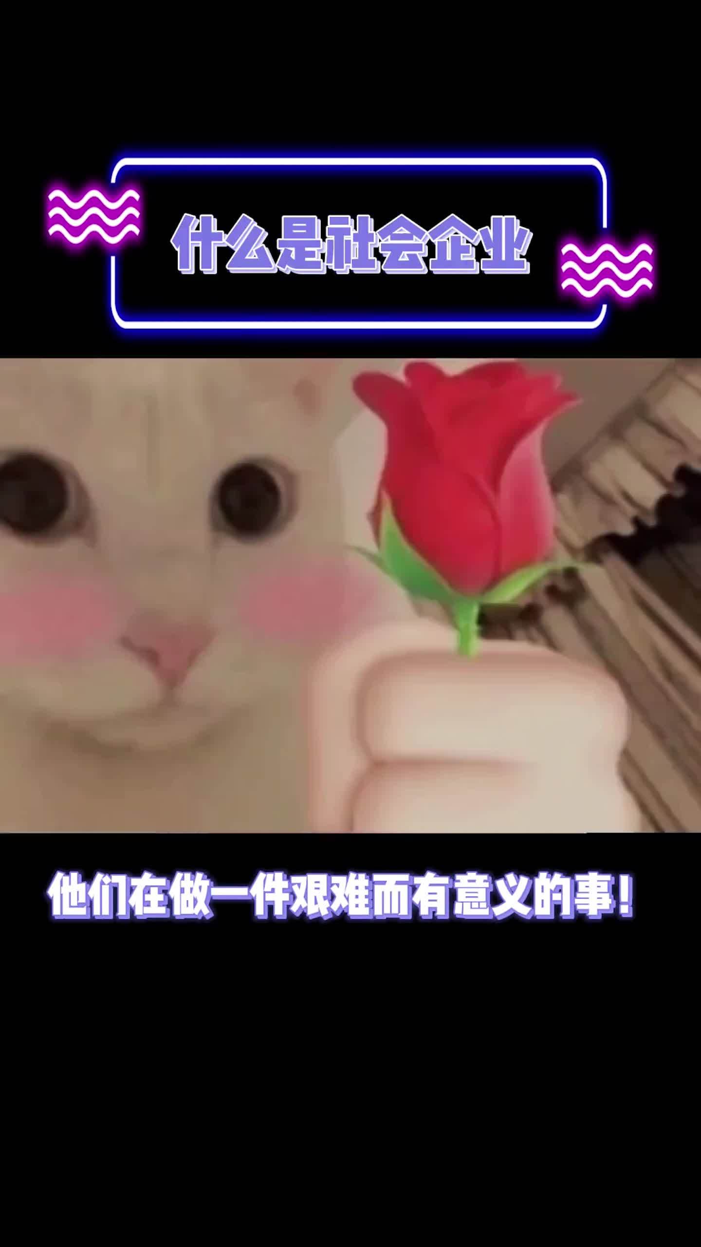 希望这种有社会责任感的企业多来点库子叔叔知识科普有点东