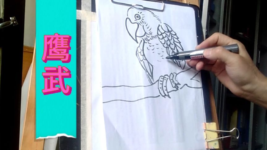 美术教程鹰武的画法。线描画教程