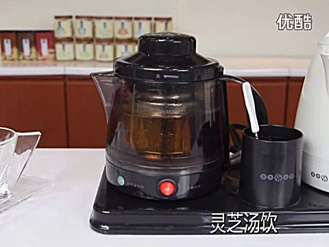 草本泉源机萃壶咖啡萃取壶保健养生壶灵芝壶中药煎煮壶