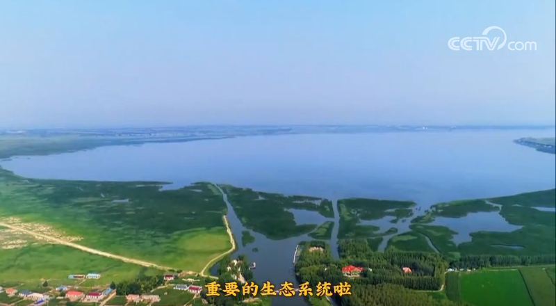 [绿水青山看中国]湖泊调节长江水量的原理