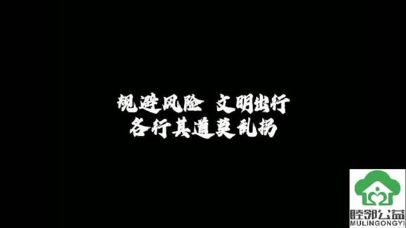 遵守交通规则,安全文明出行!#交通安全 #公益 #志愿者在行动