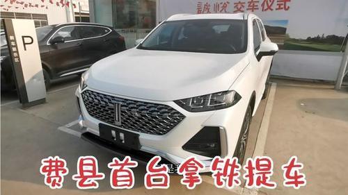 新车16.98万,油电混合双动力,百公里5个油,00后小哥提车。