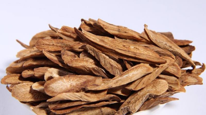 牛蒡茶减肥吗,你还知道哪些可减肥的茶叶呢