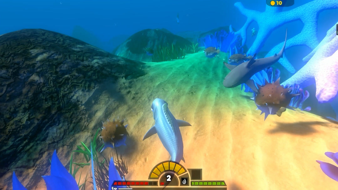 海底大猎杀一个飞鱼转身躲开了大鲨鱼游戏18期