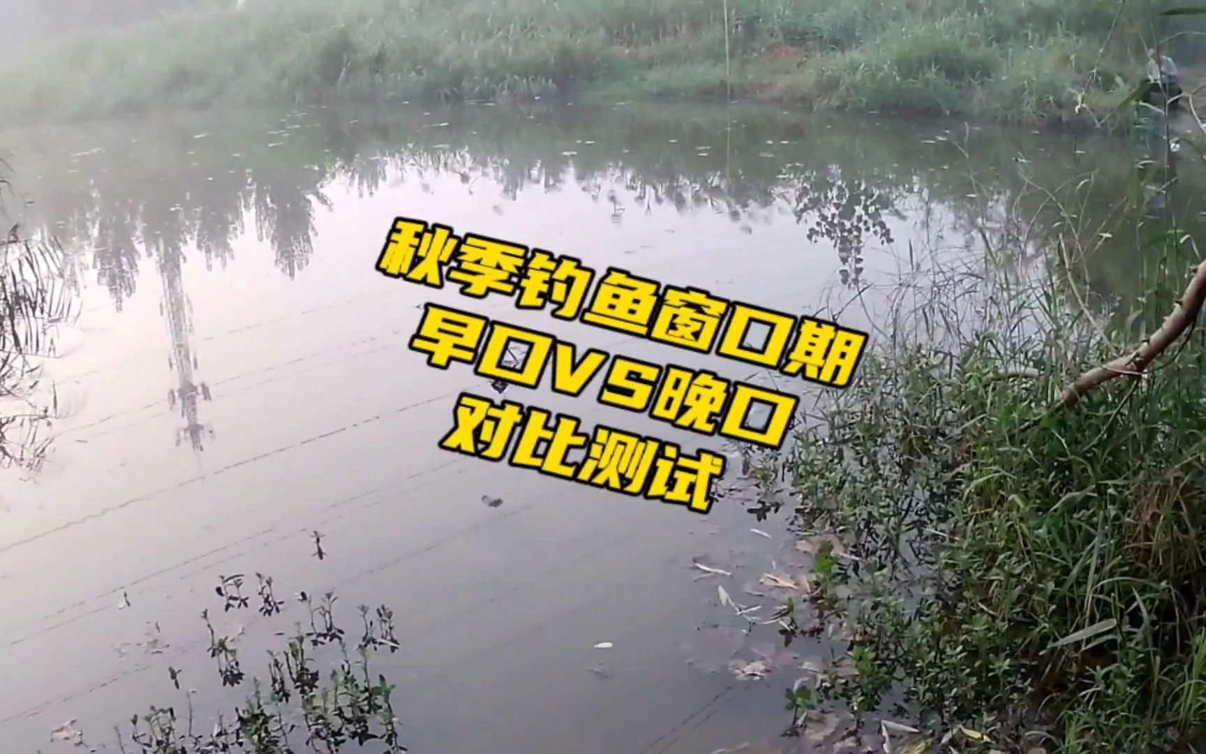 秋季野钓两大窗口期对比测试,相同饵料同一位置,早晚口孰优孰劣