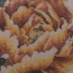 智慧学堂智慧人生 