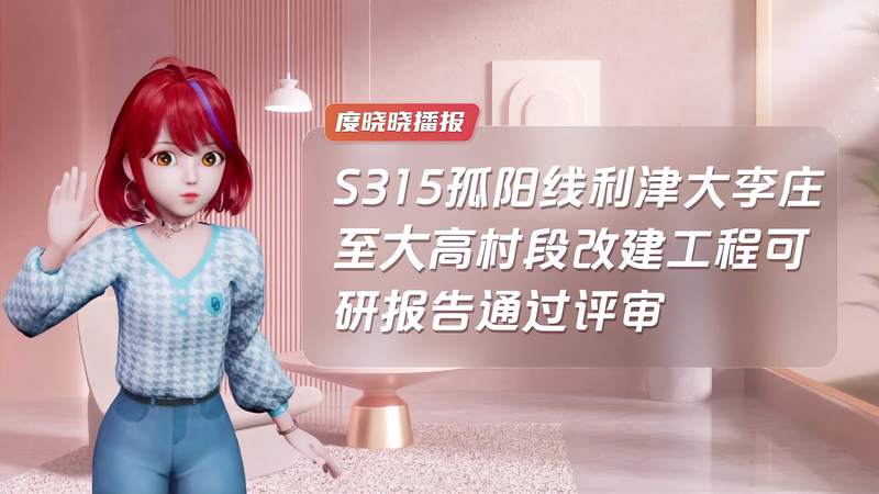 S315孤阳线利津大李庄至大高村段改建工程可研报告通过评审