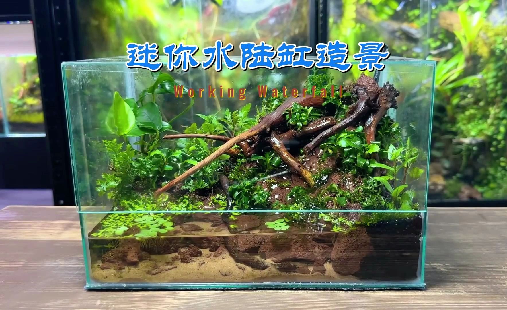制作一个迷你的水陆缸瀑布造景!
