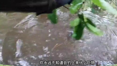牛人在河流搭建一个水车,利用水流推力,竟能实现自动捕鱼#抓鱼