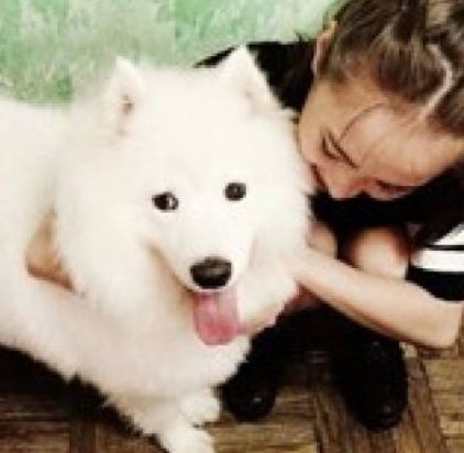 小叶萌宠说