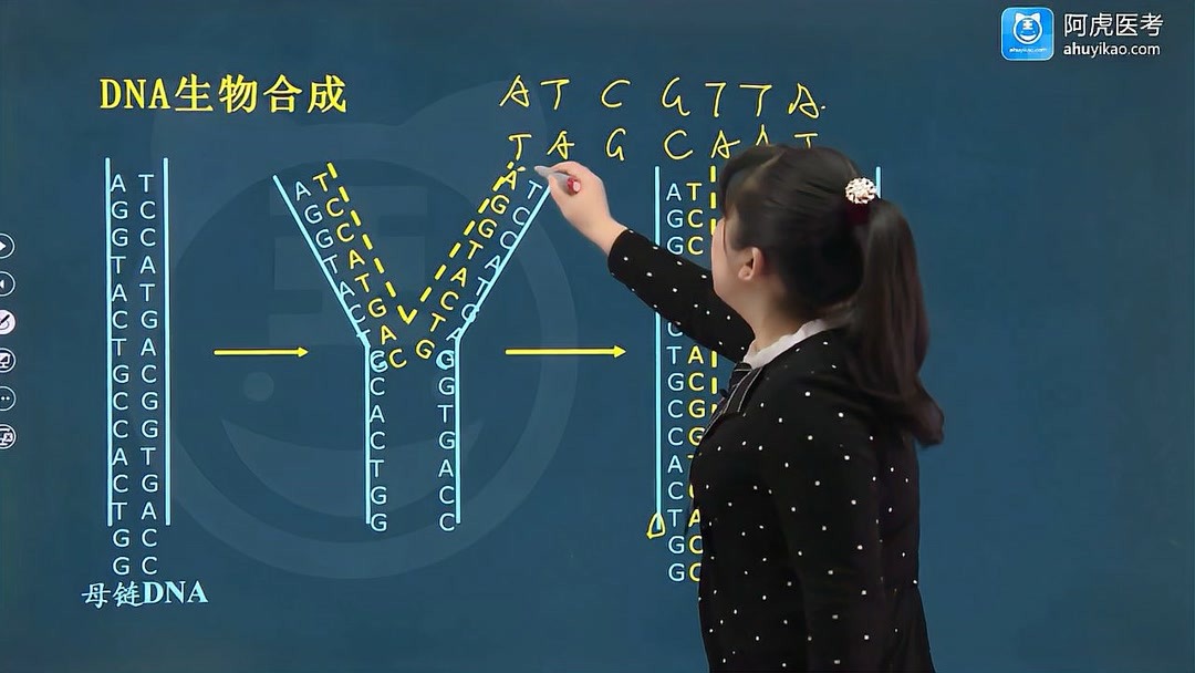 2022阿虎医考130公共卫生执业含助理医师遗传信息的传递讲解课程