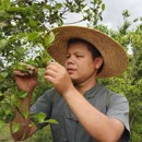 采药人大龙 