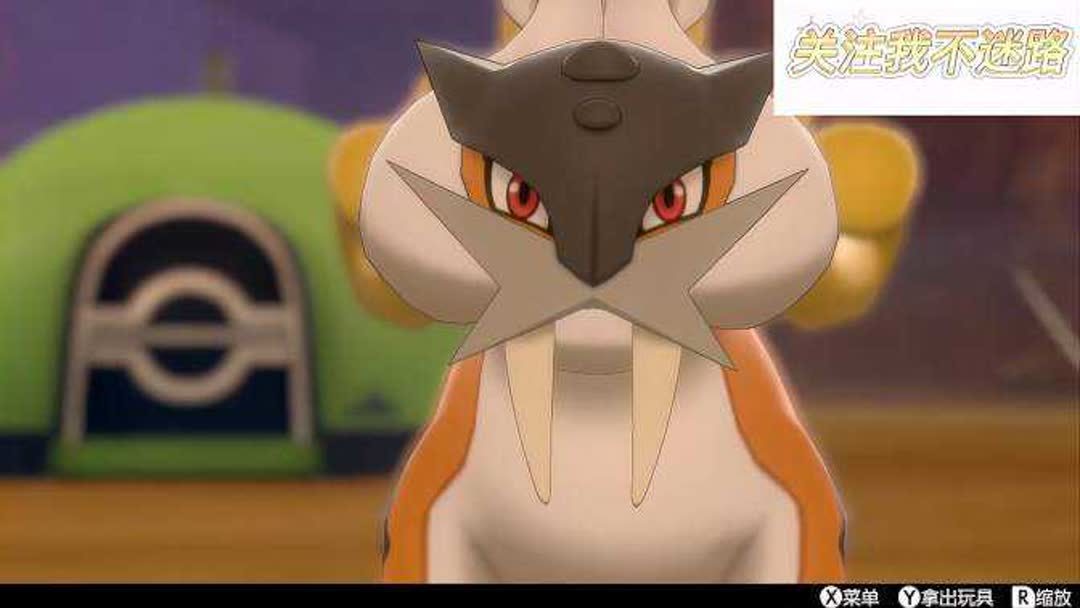 宝可梦剑盾:梦回穿梭时空の相遇!闪光三圣兽集结!闪光雷公收获