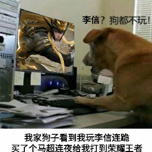 李信狗都不玩 