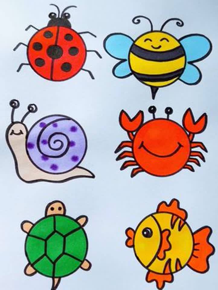 用圆画小动物一起学画画