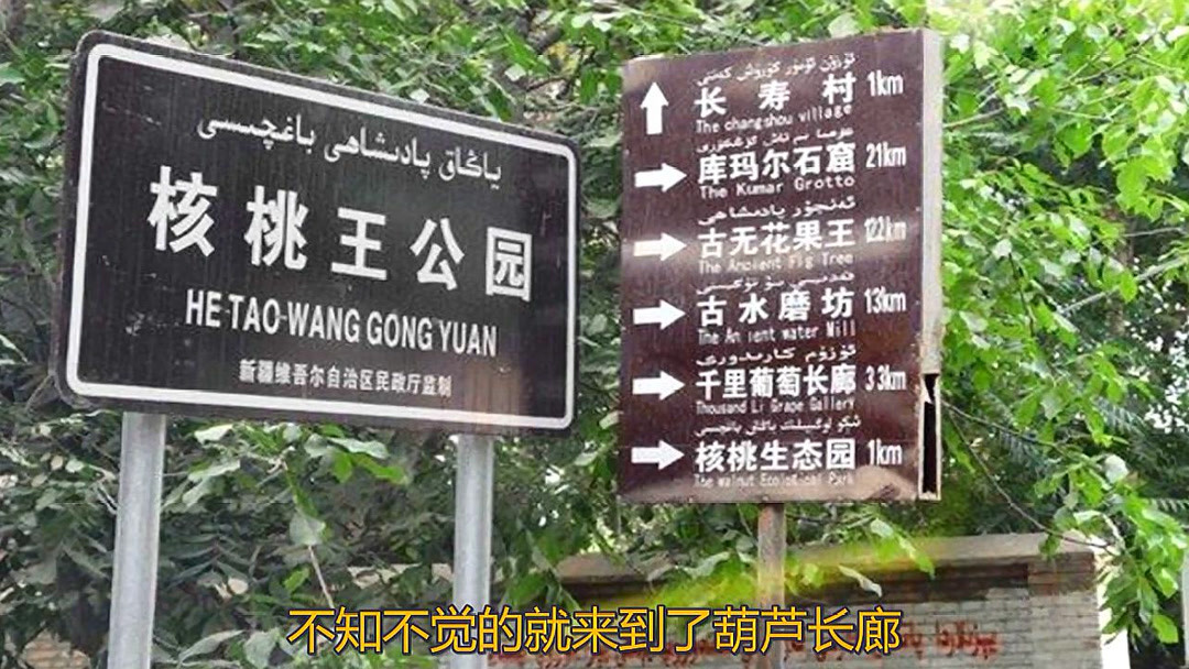 玩转新疆,环塔克拉玛干沙漠旅行攻略第二十一期,和田核桃王景区