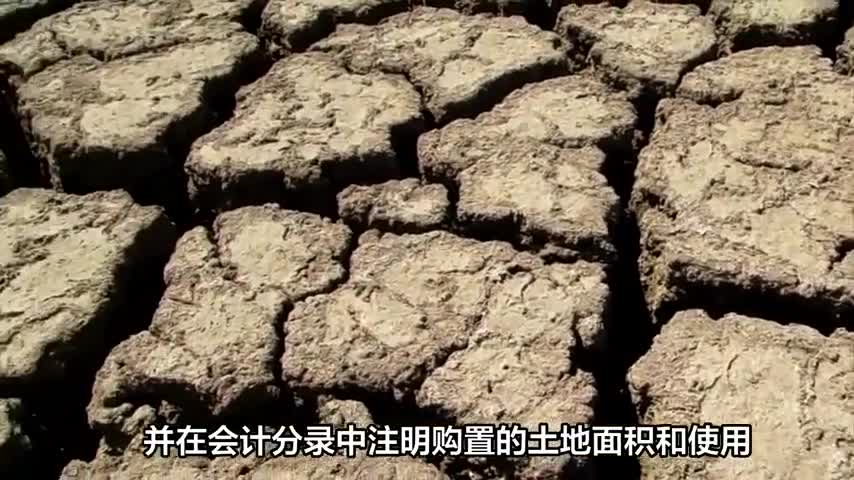 企业购置土地如何入账?会计准则给您安心指引