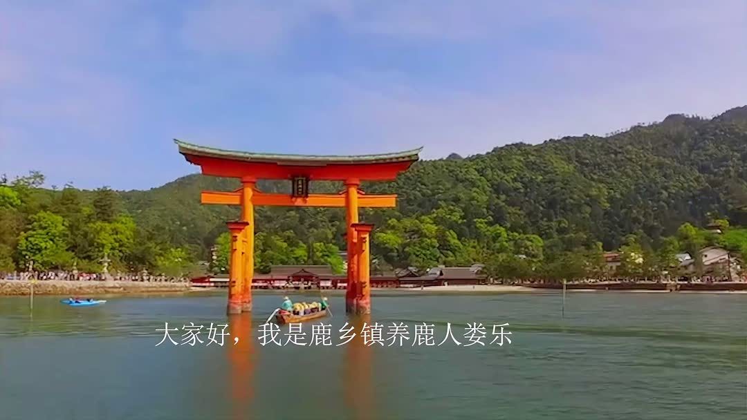 鹿茸血酒的作用有哪些