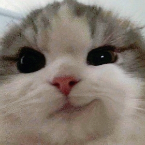 淤鱼雨浴-_- 