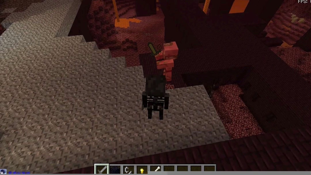 我的世界变形模组:变成凋零骷髅之后还可以有凋零毒?