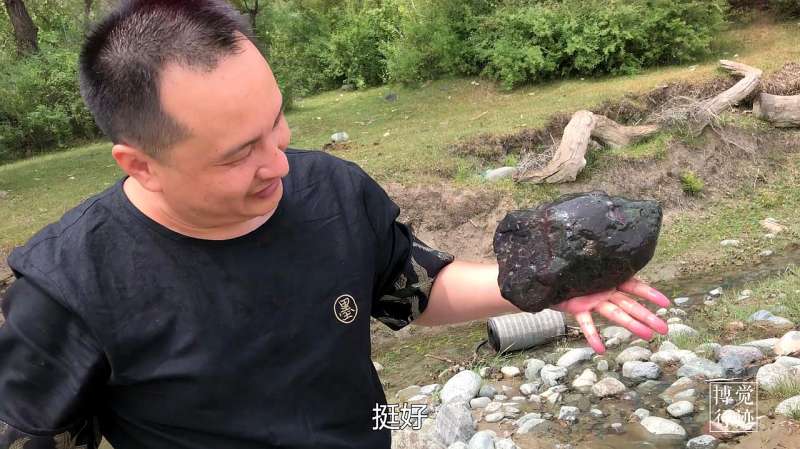 辛苦一上午,只捡到一块非常重的鱼形铁矿石,上面还有不明物体