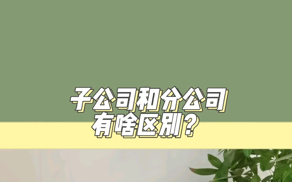 子公司和分公司的区别