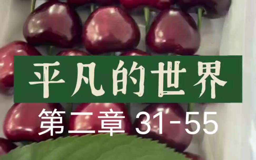 朗读者《平凡的世界》第二章31-55,最近忙着摘樱桃寄樱桃,更新地有点...