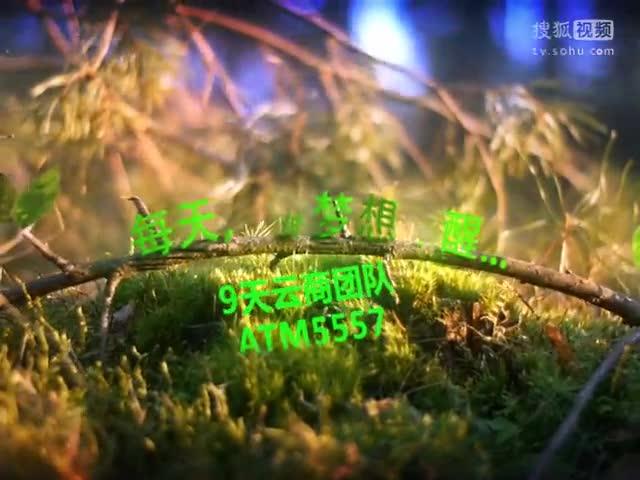 植物生长唯美动画