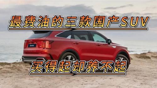 最费油的三款国产SUV,买得起却养不起,一块钱一公里,真难过!