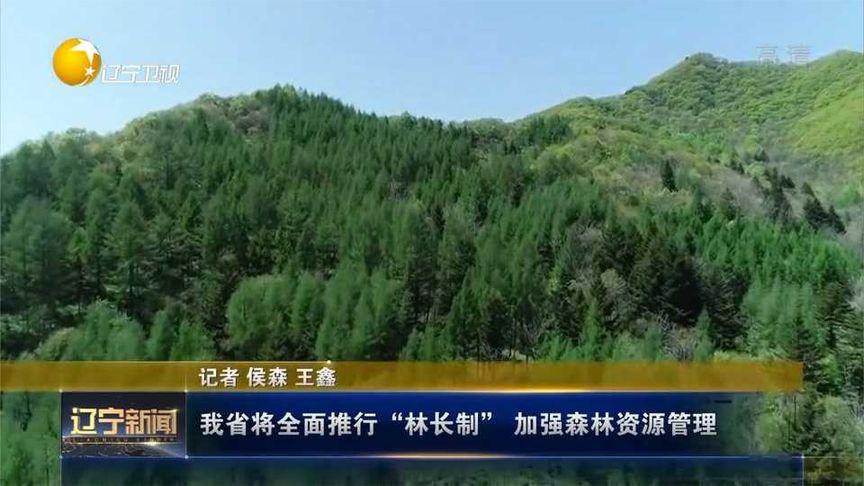 辽宁省将全面推行“林长制”加强森林资源管理