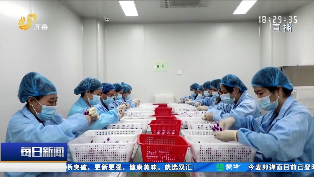 新泰:政府高效审批 企业日产新冠抗原试剂盒百万