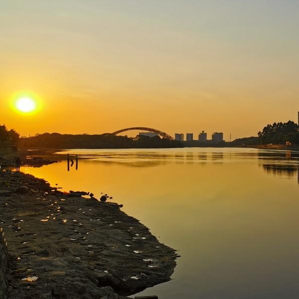 吃鱿鱼的小怪兽 