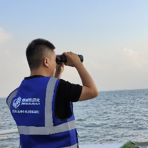 剑儒自动化王校长 