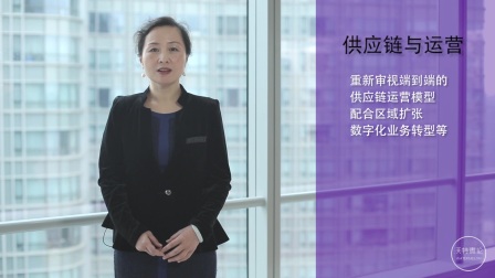 埃森哲管理咨询职业介绍形象展示