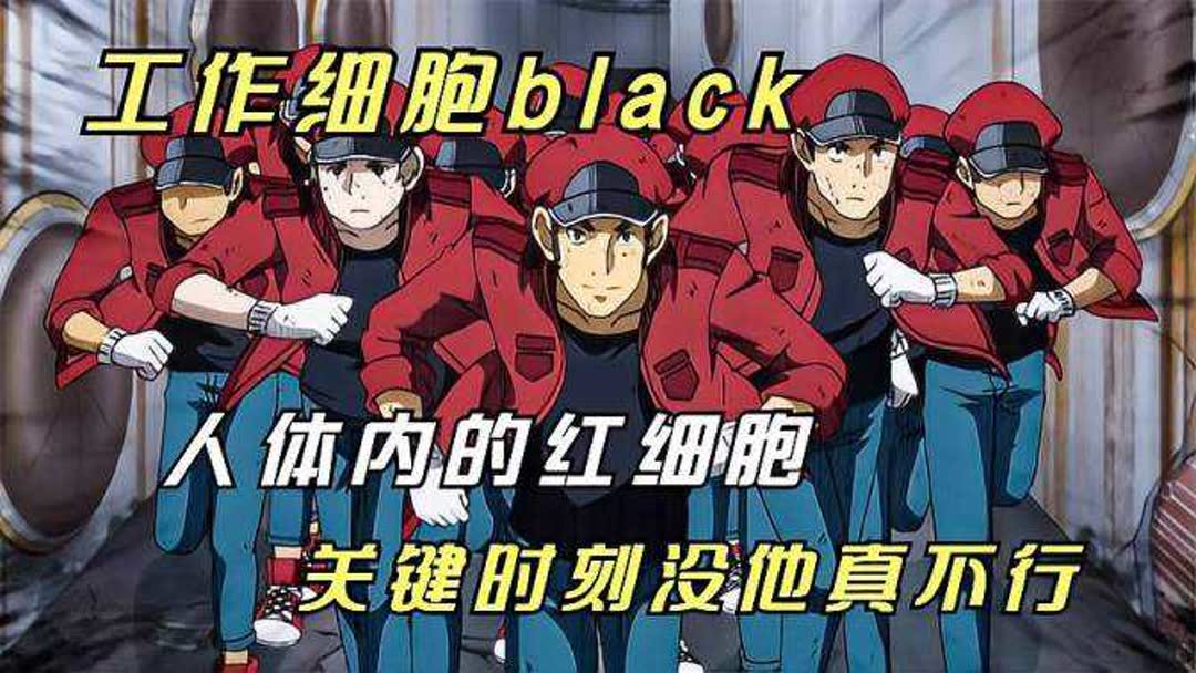 工作细胞:人体内的红细胞,是真的尽力了