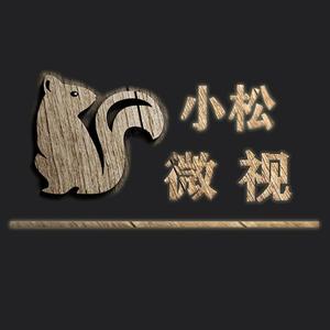 小松微视 