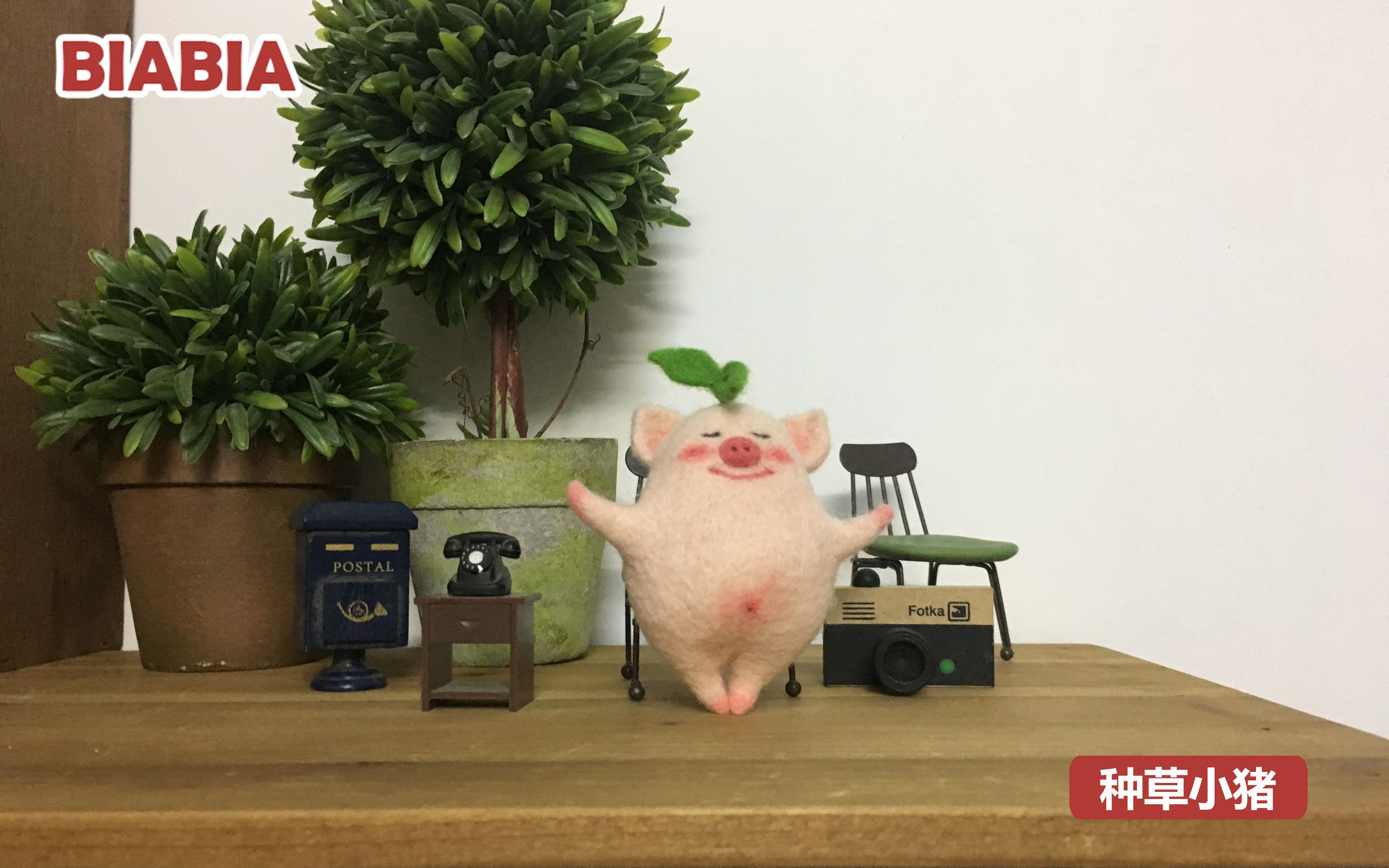 【BIABIA】羊毛毡-【种草小猪】