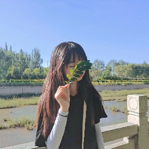 风穿过树林 